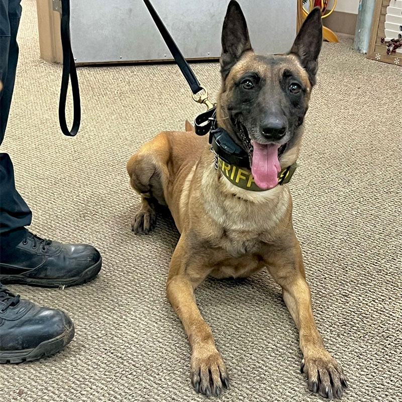 K9 Unit | Jefferson County Sheriff's Office